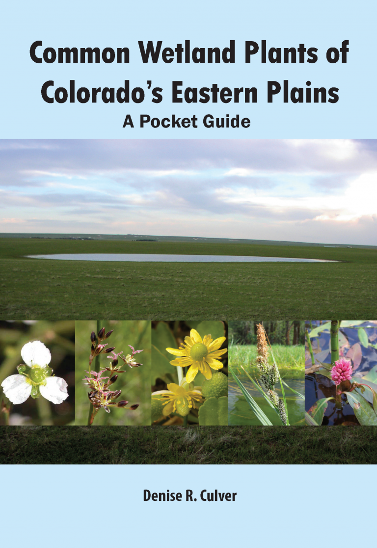 Colorado Wetland Field Guide - Colorado Natural Heritage Program