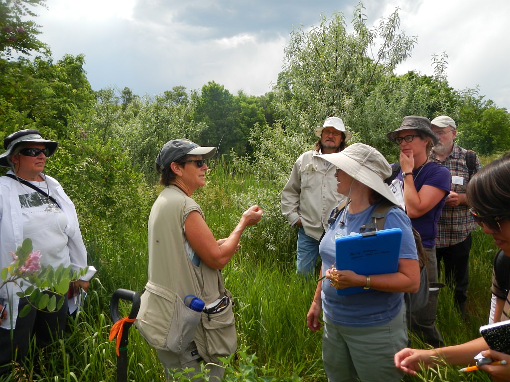 Wetland Plant Identification Workshops - Colorado Natural Heritage Program